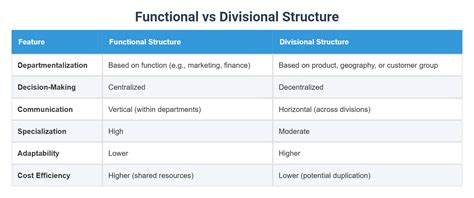 functional vs divisional structure