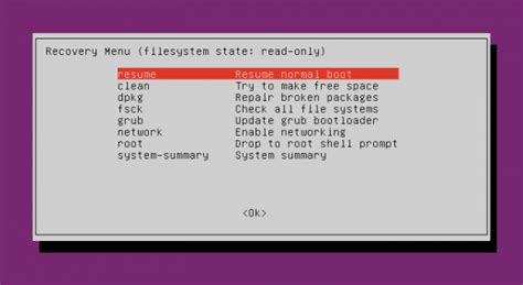 Reset Sudo Password In Ubuntu LTS OSTechNix