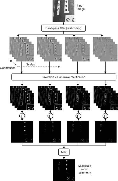 Sequence Of Processes For The Detection Of Elliptical Regions Through Download Scientific