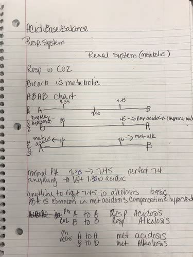 Midterm Review Flashcards Quizlet