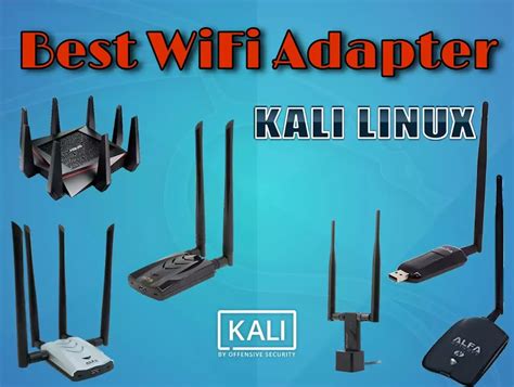 Basics Of Bash Scripting On Kali Linux