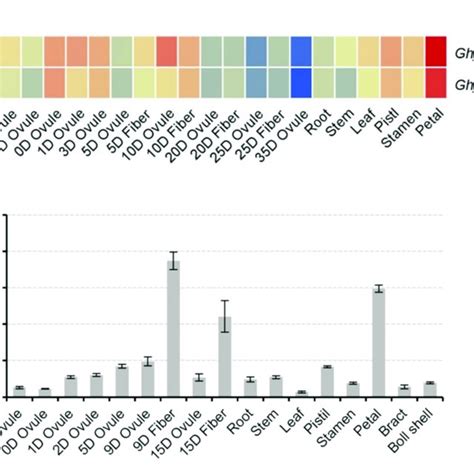 Expression Profile Of GhROP6 In Cotton Tissues A Heatmap Of