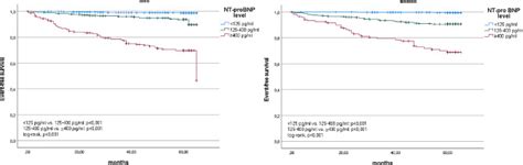 Sex Differences In The Diagnostic Algorithm Of Screening For Heart