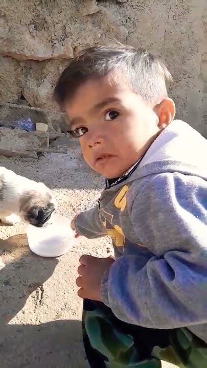 شیر دادن به سگ Youtube