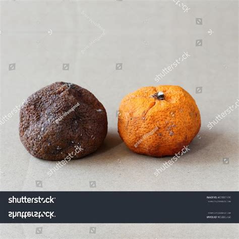 Orange Detection Object Detection Dataset V7 2024 03 05 8 21pm By University Of Technology