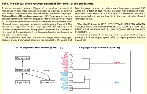 a a simple recurrent network and b the language and grammatical