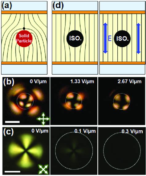 Defect Free Isotropic Droplets In The Nematic Medium A Schematics