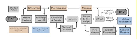 Augmented Reality Based Visualization Of A Resected Tumor Specimen