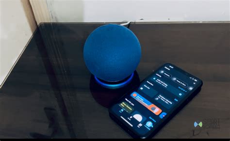 4 Fixes If Your Alexa Has No Scene Discovery Smart Homeist