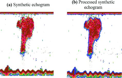 Processing Of A Typical Anchovy School Echogram A Raw Synthetic