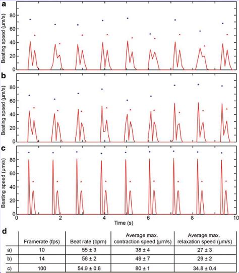 Effects Of Camera Frame Rate On Accuracy Of Block Matching Optical Flow