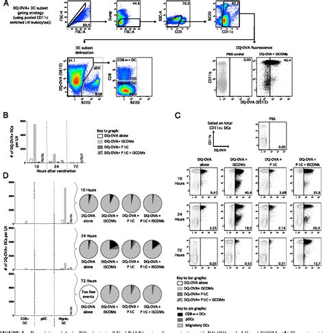 Figure 5 From Immunity And Enhances Hiv Gag Specific T Cell Antigen Processing In Dendritic Cell