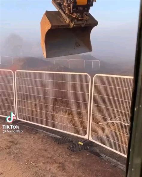 Video Ahmed Hashem On Linkedin Impressive 12 Comments