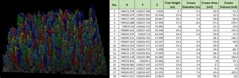 Drone LIDAR Untuk Analisis Jalur Irigasi Tree Counting Kebun Sawit Halo Robotics