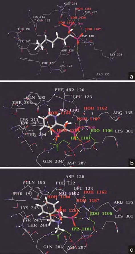 Docking Of A Most Active Compound 1 And B Most Inactive Compound Download Scientific