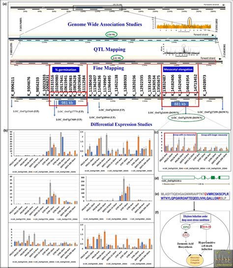 A The Combined Approaches Involving Genome Wide Association Mapping Download Scientific