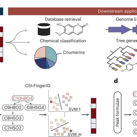 Mist Replaces The Critical Spectrum To Fingerprint Prediction Step In Download Scientific