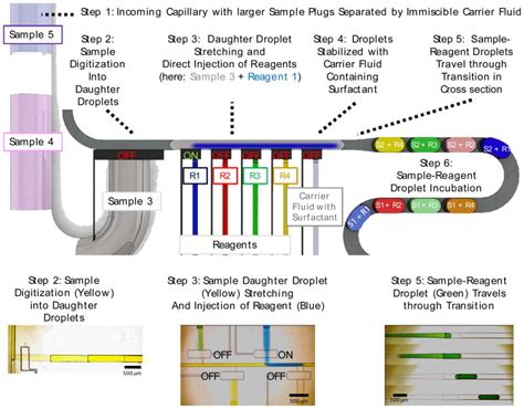 Microfluidic Platform For On Demand Generation Of Spatially Indexed Combinatorial Droplets