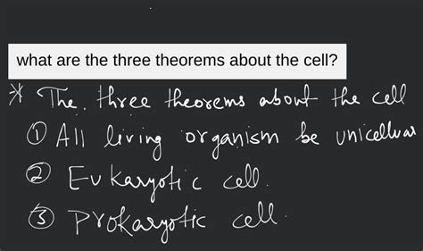 What Are The Three Theorems About The Cell Filo