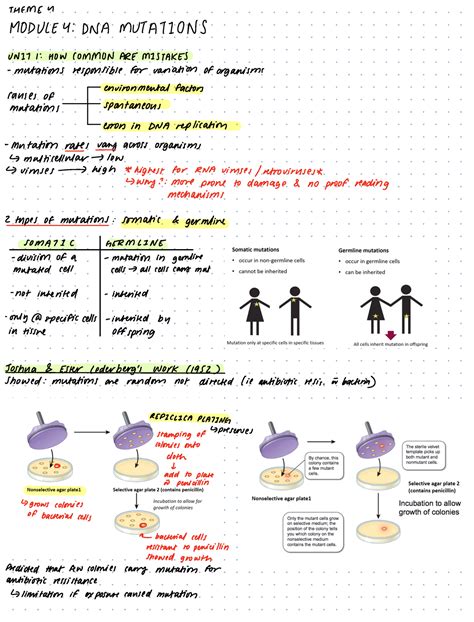 Theme 4 Module 4 Dna Mutations Hemen Moduley Dna Mutations Unit I How Iommon Aremistakes