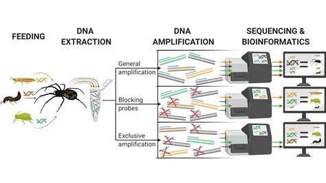 Primer Time A Rollercoaster Ride Through Metabarcoding Pcr Primer