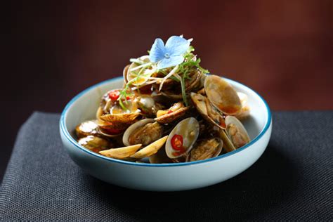 捞汁花甲图片素材 捞汁花甲设计素材 捞汁花甲摄影作品 捞汁花甲源文件下载 捞汁花甲图片素材下载 捞汁花甲背景素材 捞汁花甲模板下载 搜索中心