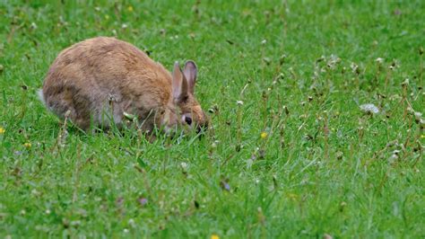 Cutebottomlessgirlsdancingonshortdresses Videos Download The