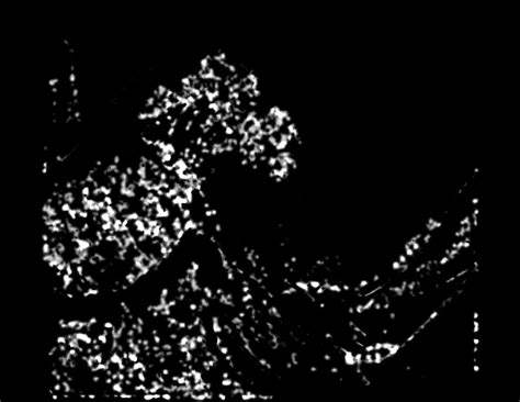 Github Giaabaoosift Matching Implement Harris Corner Detectors In