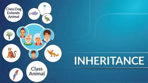 🧬 Java Inheritance A Simple Guide To Power Up Your Code
