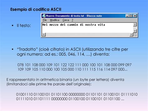 Appunti Di Informatica Di Base Ppt Scaricare