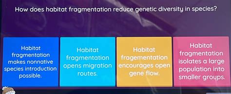 Solved How Does Habitat Fragmentation Reduce Genetic Diversity In