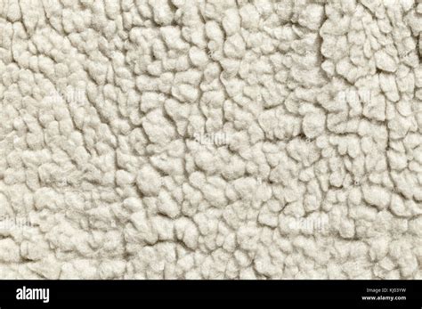 Wool Texture