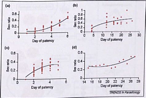 10 Increase Of The Sex Ratio Over Time A P Vinckei B P Berghei Download Scientific