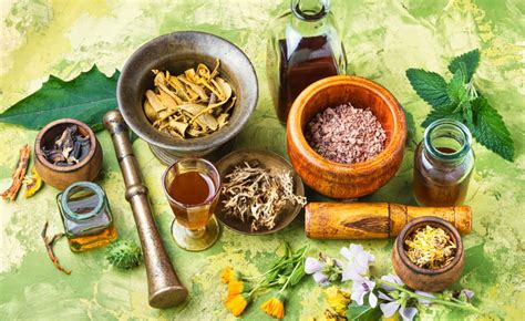Herbal Medicines And Their Uses Aturid