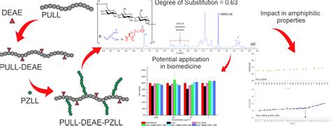 Preparation And Characterization Of Cationic Pullulan Based Polymers