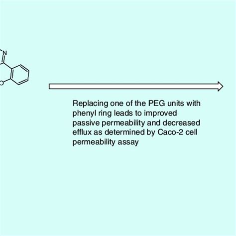 A Protac Mediated Ternary Complex Formation And Hook Effect As A