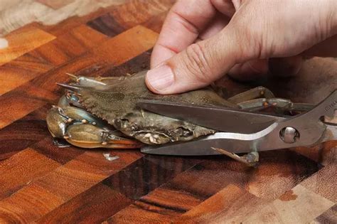 How To Clean Soft Shell Crabs Artofit