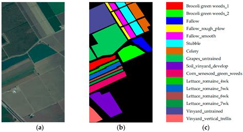 Remote Sensing Free Full Text Dual Branch Attention Assisted Cnn