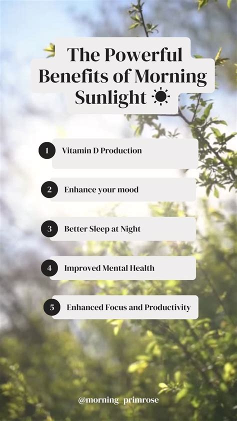 The Powerful Benefits Of Morning Sunlight Exposure Sunshine Benefits