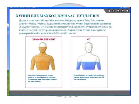 лекц 1 хүний биеийн ерөнхий бүтэц тулгуур эрхтэн тогтолцоо Pptx