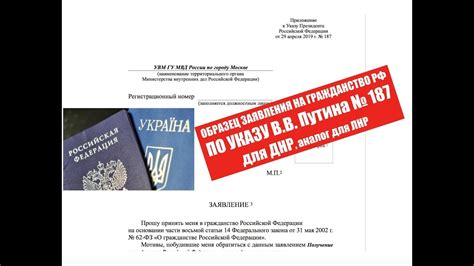 Заявление на упрощенное гражданство РФ УКАЗ 187 Путина ОБРАЗЕЦ для ДНР ФМС миграционный юрист