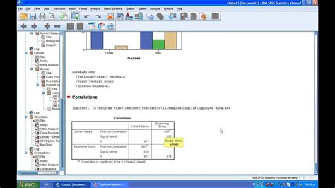 Example Using Ibm Spss Youtube
