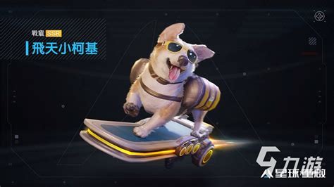 星球重启是什么类型的游戏 游戏类型以及玩法内容分享星球重启九游手机游戏