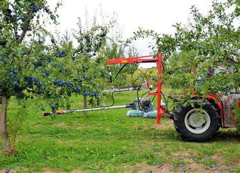 Cherry Harvester Jagoda Jps Agromachines
