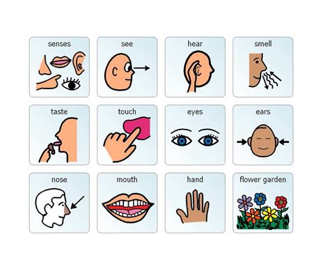 Sensory Pecs Icon