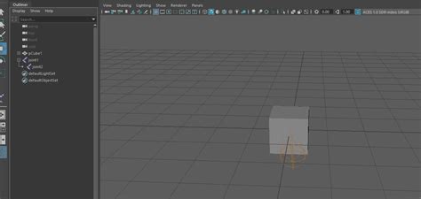 Cannt Export To Usd File When The Mesh And The Skeleton Is The Root
