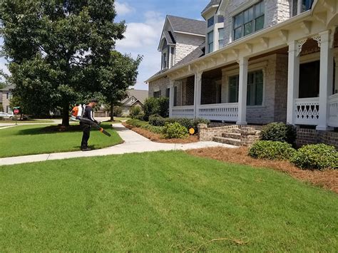 Pest Control Brandon Pest Control United States