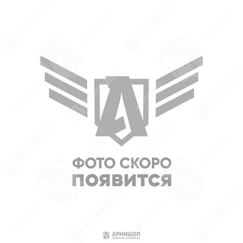 Барс