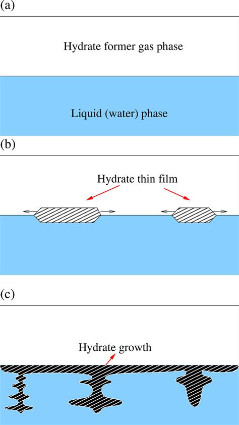 Stochastic Cellular Automata Modeling Of Co2 Hydrate Growth And Morphology Crystal Growth And Design