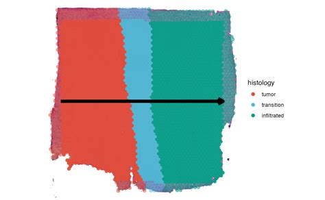 Spatial Trajectories • Spata2